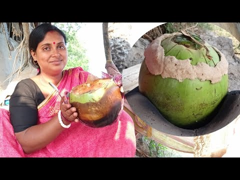 ডাব চিংড়ি রান্না খুব সহজ ও সুস্বাদু||Cooking dab shrimp. - YouTube