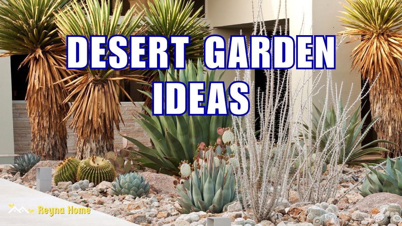 Desert Oasis Garden Ideas For Arid Climates Desert Landscape Front Yard ...