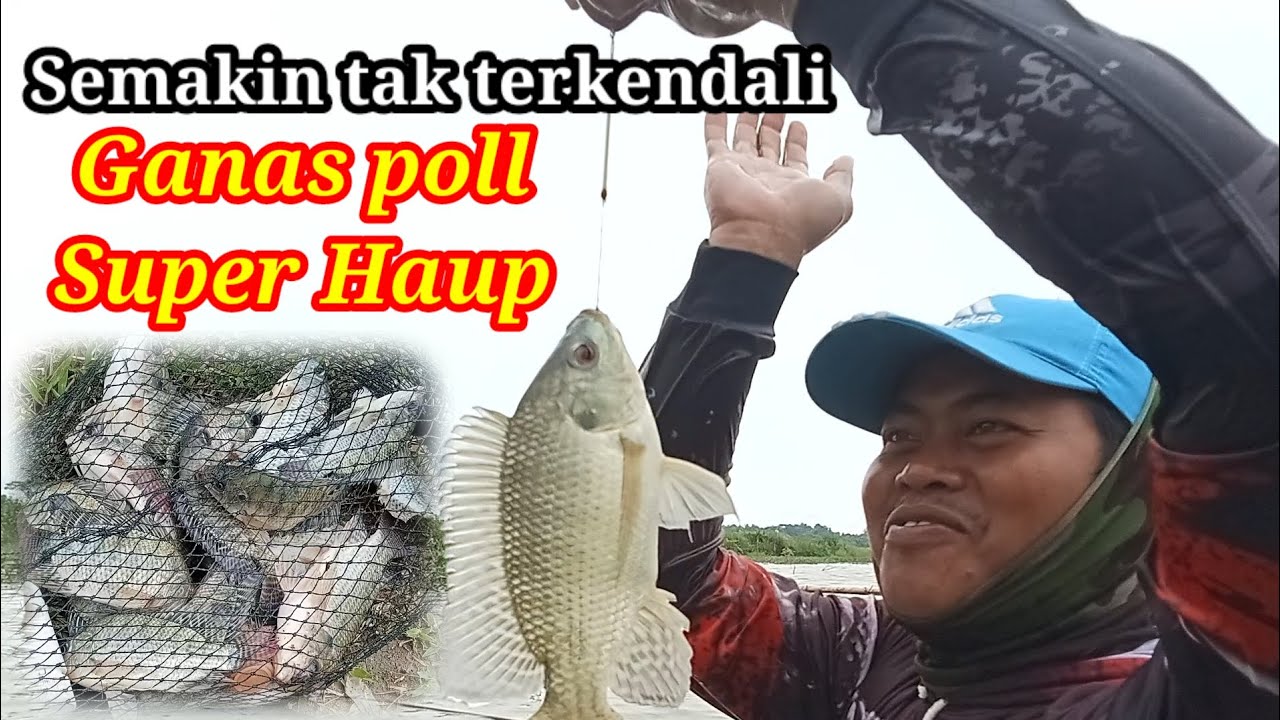 SEMAKIN MENGGELORA MEMBAHANA | WADUK PACAL BOJONEGORO | SPOT SEJUTA ...