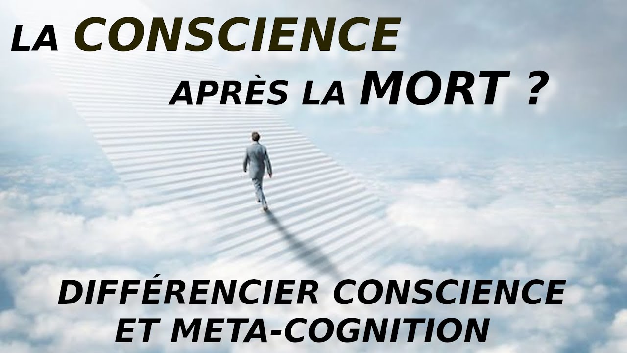 Y a-t-il de la conscience après la mort ? Conscience, meta-cognition ...