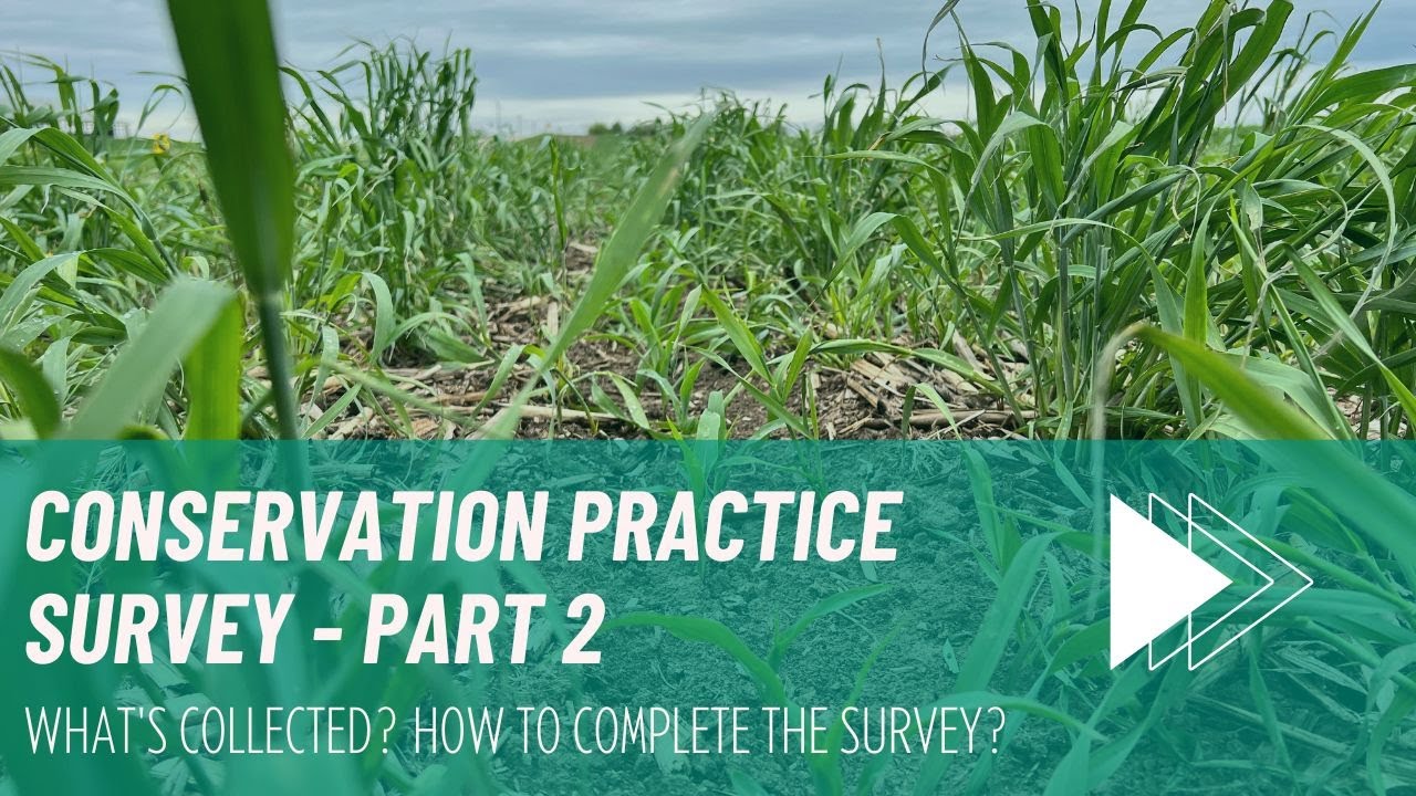 Conservation Practice Survey - Part 2 - YouTube
