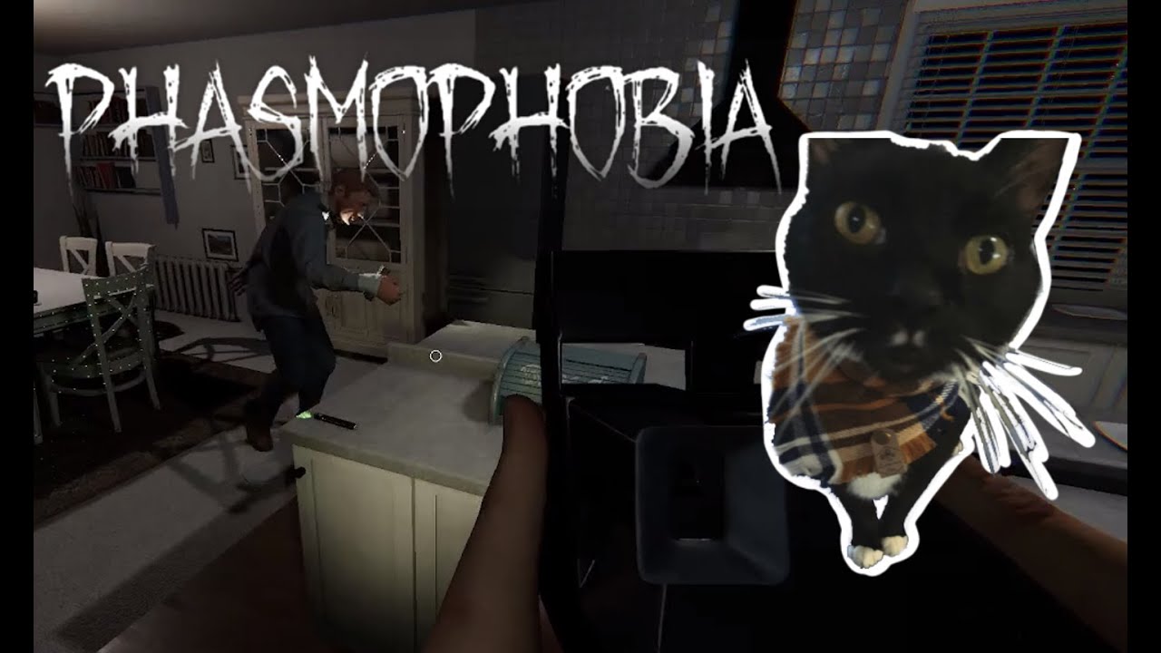 Playing Phasmophobia but my cat kills me - YouTube