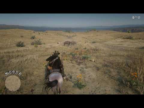 Two Bison headbutt each other (random encounter) - Red Dead Redemption ...