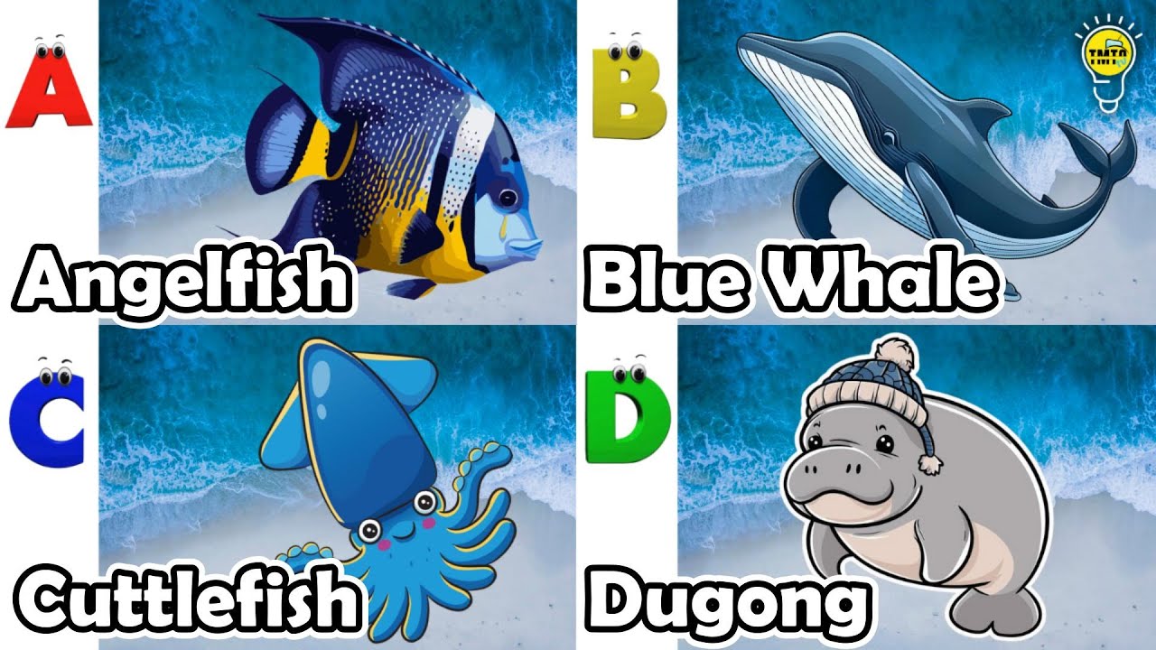 ABC phonics animals | ABC Sea Animals song | English and Animals for ...