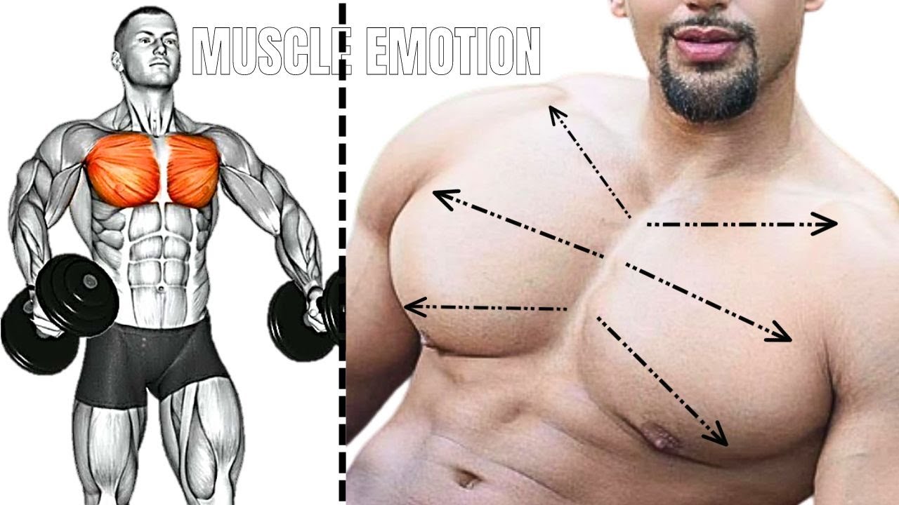 5 BEST CHEST EXERCISES YOU WILL EVER SEE IN YOUR GYM ! ONLY HERE ! YOU ...