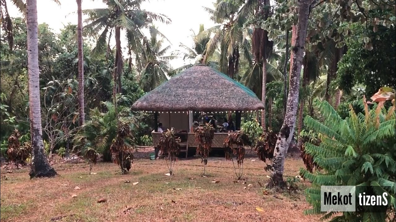 UNANG ULAN NG MAY 1, 2024/COME & VISIT LIGWA FARM - YouTube