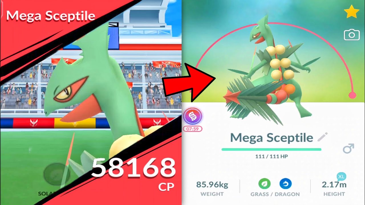 Mega Sceptile Raid And Evolution 😳 Pokemon Go Youtube