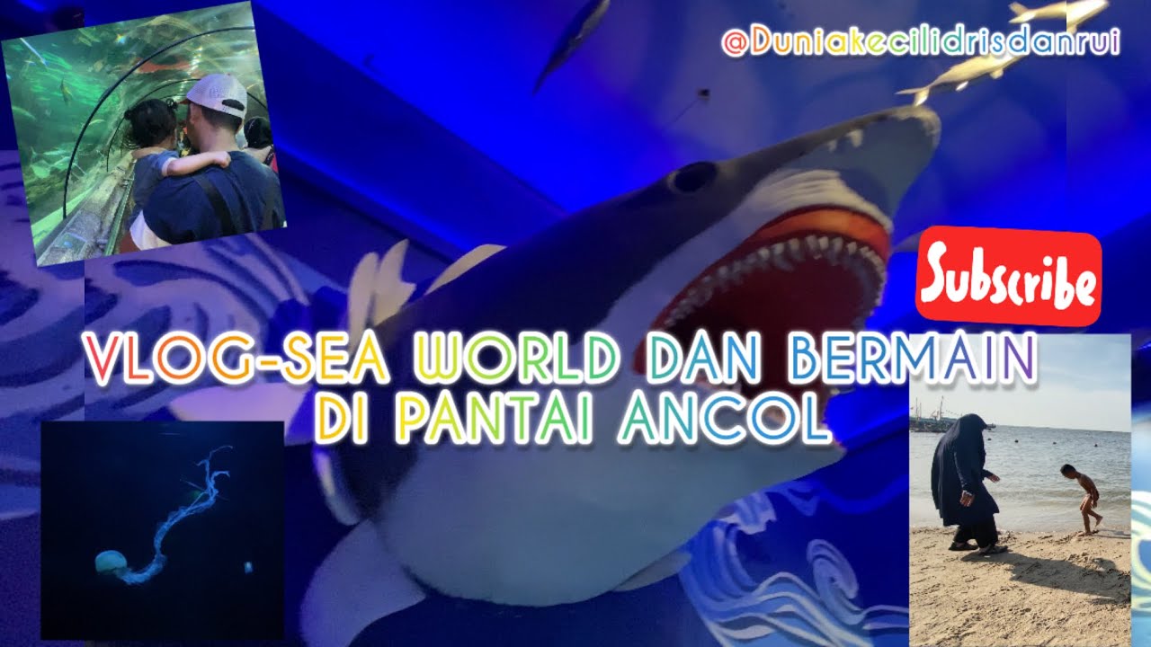 BERMAIN DAN BELAJAR SATWA LAUT DI DUNIA LAUT SEA WORLD. SIANG MAIN ...