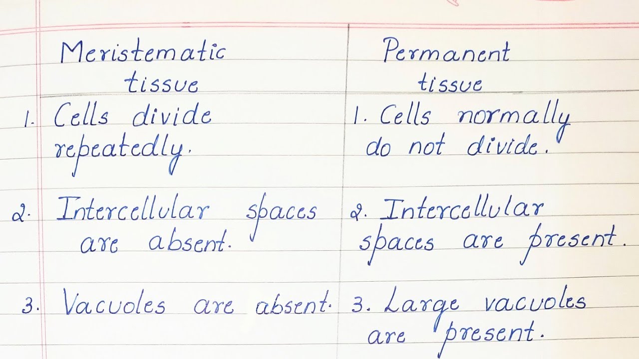 Difference Between Meristematic Tissue And Permanent Tissue YouTube difference-between-meristematic-tissue-and-permanent-tissue-youtube