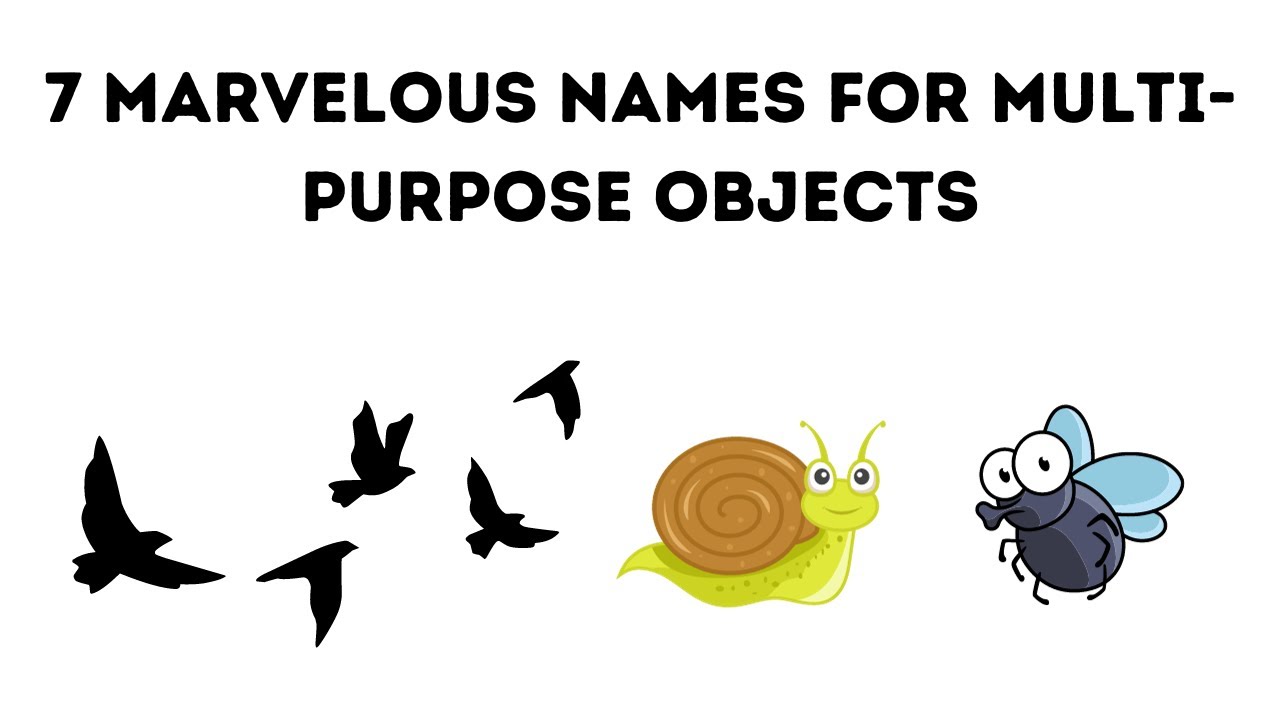 7 In One Objects Name For Kids By Sprocket Toon Hub - YouTube