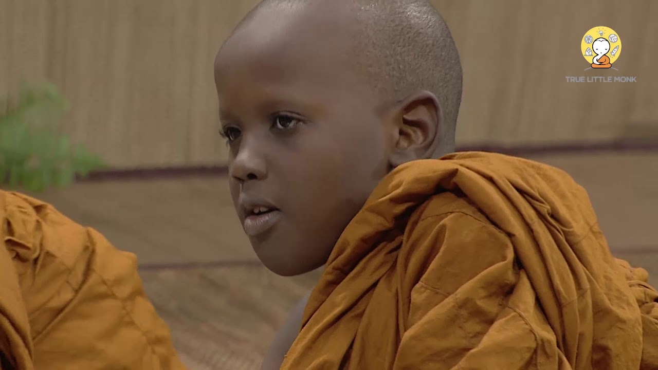 True Little Monk l Daily Highlight EP.16 - YouTube