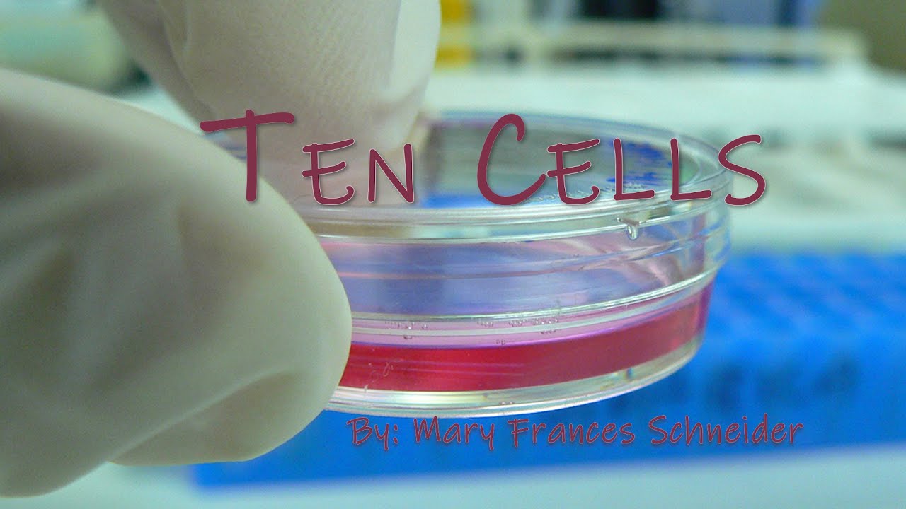 Ten Cells: A how I got you story - YouTube