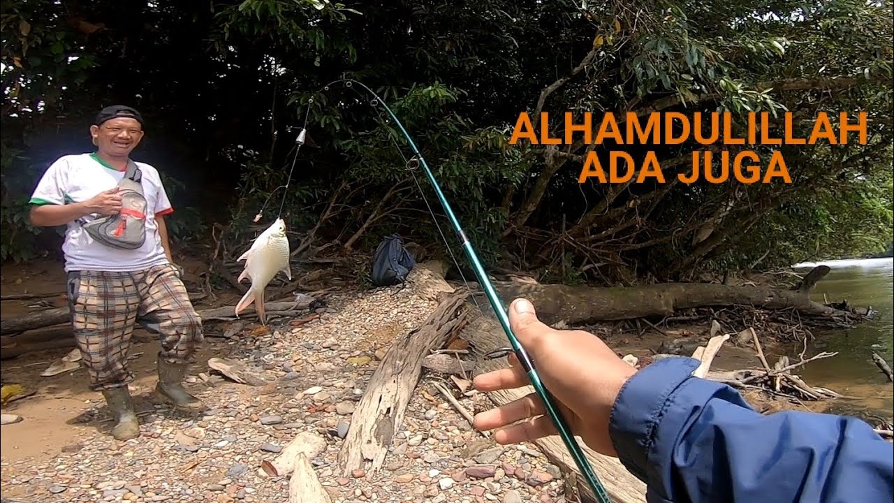 Memancing ikan di Sungai Desa Pulau Sayat - YouTube