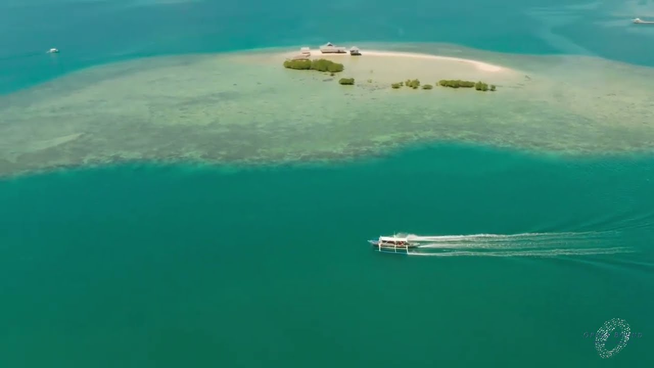 Tropical Paradise: Calming Relaxation For Tranquility, Peace And ...