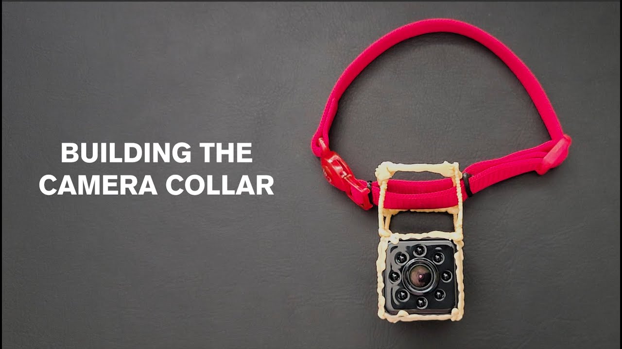 How to make a Camera Collar (by @gonzoisacat) - YouTube