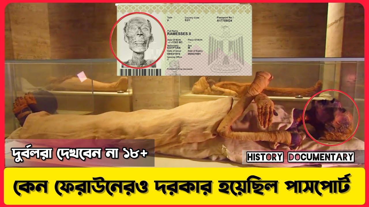 যে কারণে ফেরাউনের জন্য বানাতে হয়েছিল পাসপোর্ট। দুর্বলরা দেখবেন না ...