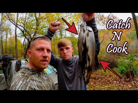 A Trout Fishing Bait that will put Dinner on your Table (catch n cook ...