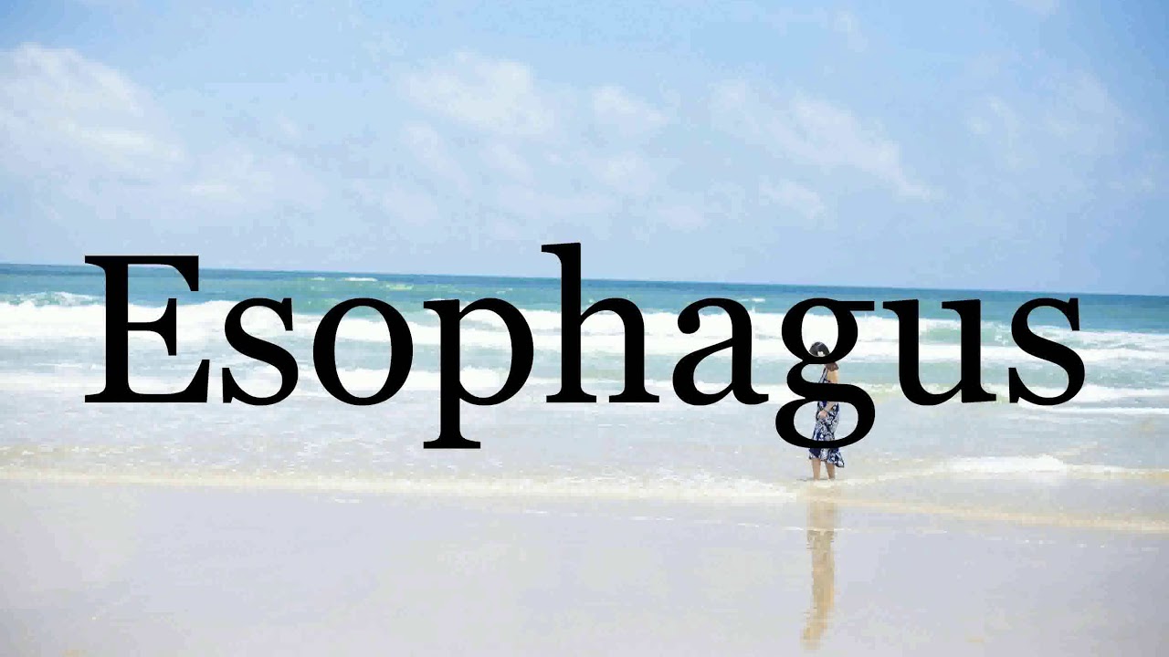 How To Pronounce Esophagus🌈🌈🌈🌈🌈🌈Pronunciation Of Esophagus - YouTube
