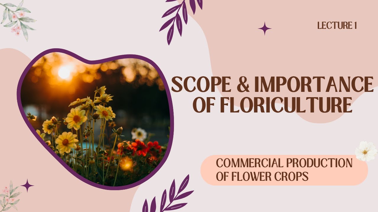 Scope and Importance of Floriculture - YouTube