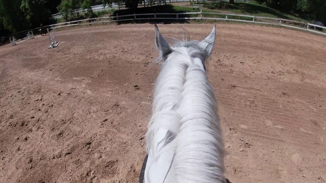 Horse riding lesson captured with GoPro Hero7Silver - YouTube
