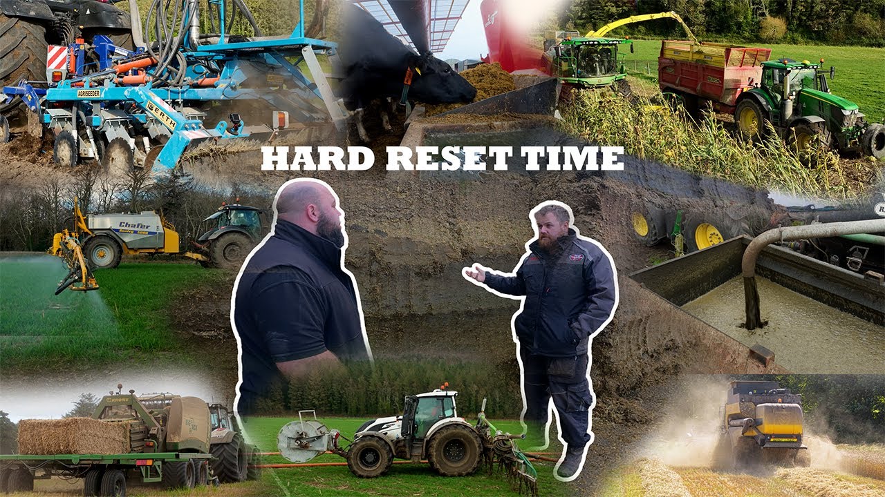 The Ballycarton Hard Reset: Cycle Broken, Soil Rebooted, Wheat Achieved ...