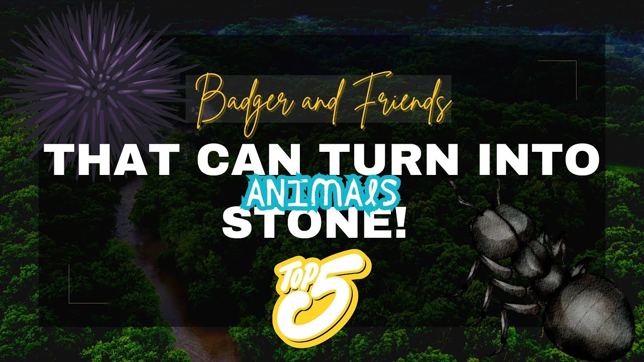 Top 5 Animals That Can Turn Into Stone! - YouTube