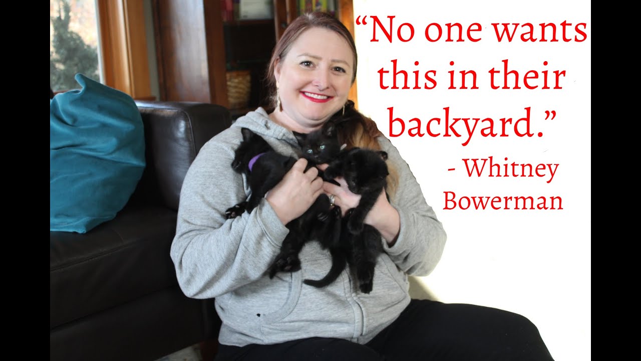 Whitney Bowerman & Candace Mercer Discuss the Olympia, WA Move of ...