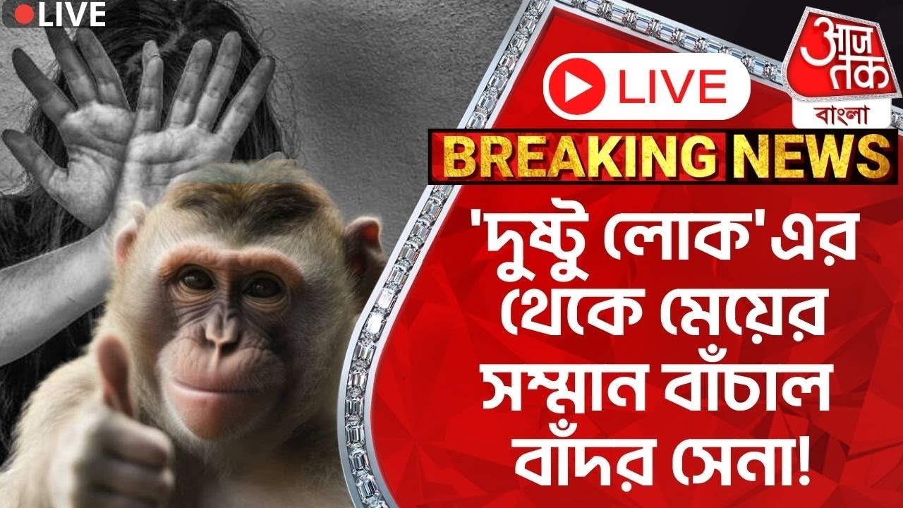 🛑Live Breaking:'দুষ্টু লোক'এর থেকে মেয়ের সম্মান বাঁচাল বাঁদর সেনা ...
