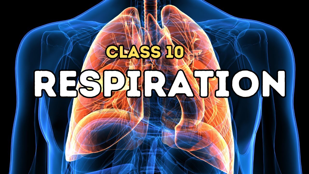 Respiration || 10th Class Biology ||2020 New Syllabus || Digital ...