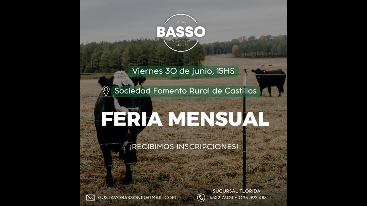 30/06/2023 Sociedad Fomento de Castillos - Gustavo Basso Negocios ...