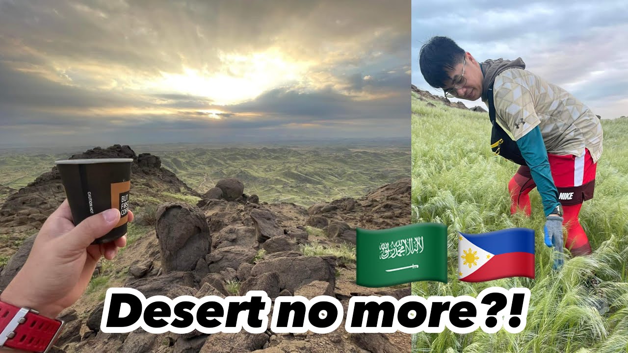 THE DESERT IS TURNING GREEN IN JEDDAH SAUDI ARABIA [ENGLISH SUBTITLE ...