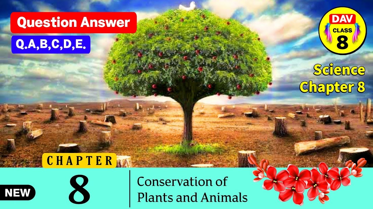 🌱Conservation of Plants and Animals |Dav Class 8 Science Chapter 8 ...