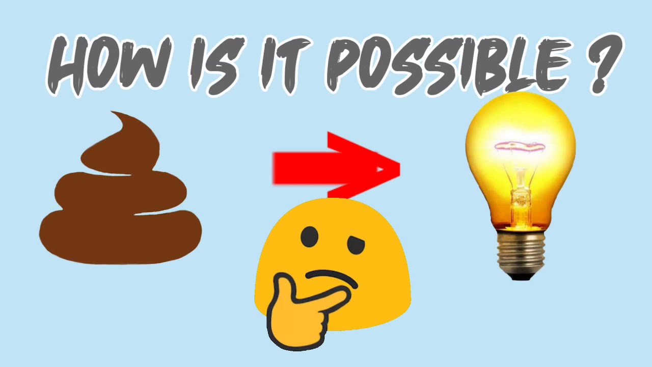 Generate Power from Pig Poop - YouTube
