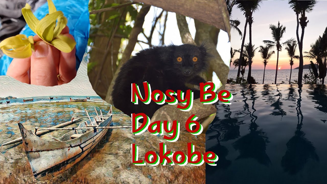 Madagascar Dive Trip - Day 6, Visit to Lokobe national park, Malagasy ...