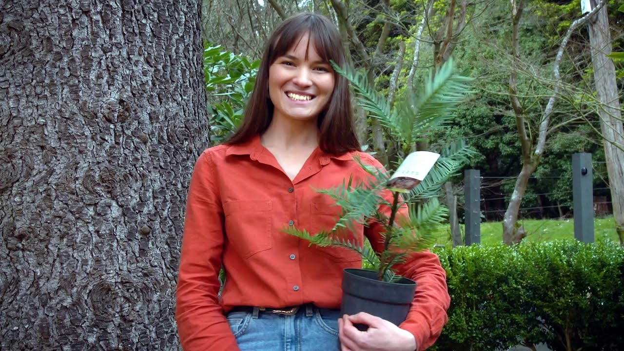 The Garden Gurus - Plant deal of the week - YouTube