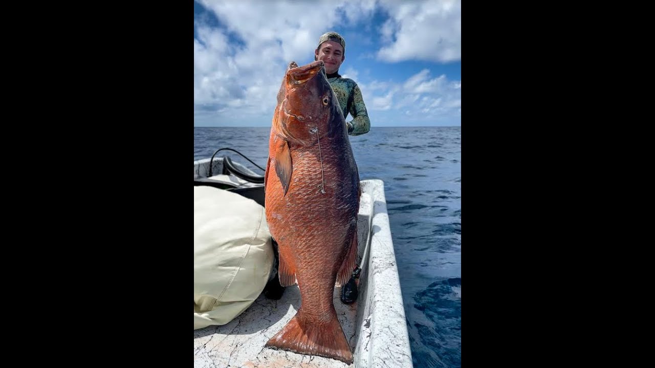 New World Record 137 lb Cubera Snapper Speared off Texas Coast - YouTube
