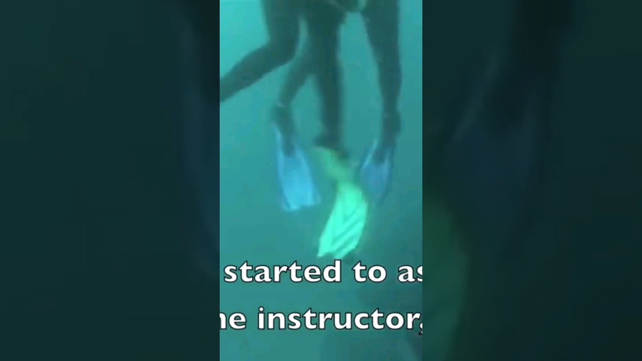 Scuba divers ascending - YouTube