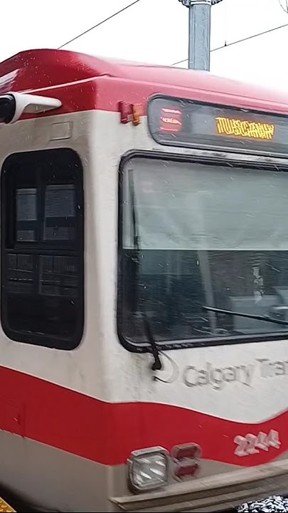 Calgary Transit #2243 #2244 #2212 Siemens SD160 arriving Lions Park/North Hill station - YouTube