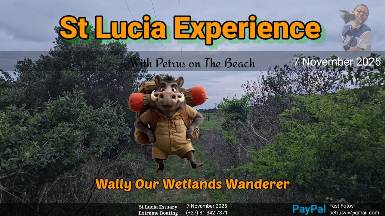 St Lucia Experience - 7 November 2025 - Meet Wally our Wetlands ...
