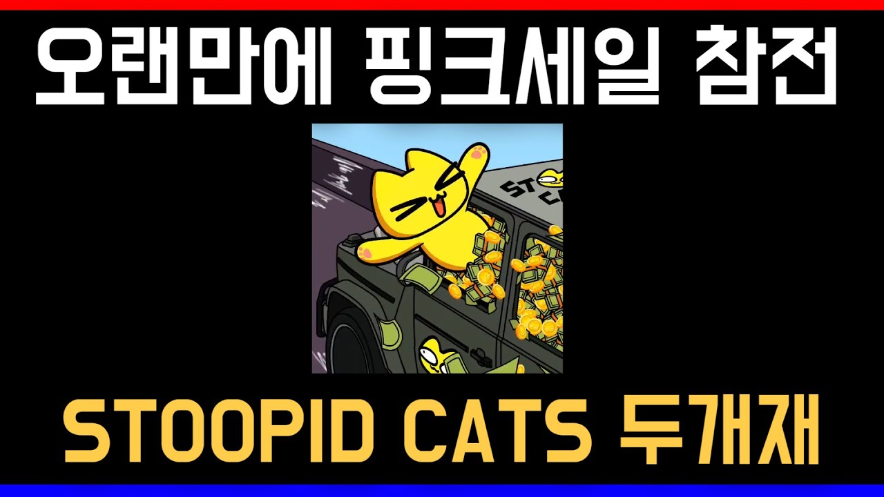 오랜만에 핑크세일 참전해서 저랑 도파민 터트려보실분 목표는 STOOPID CATS - YouTube