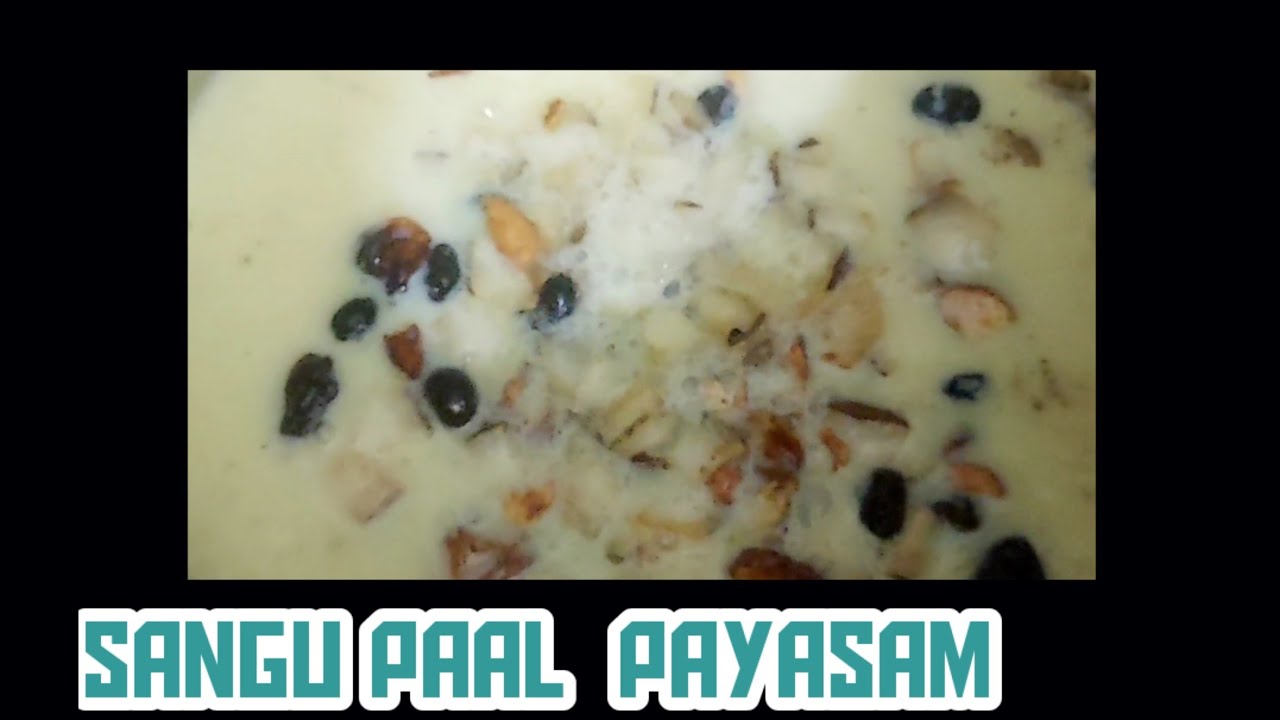 || Sangu Pasta Paal Payasam Recipe in Tamil || - YouTube