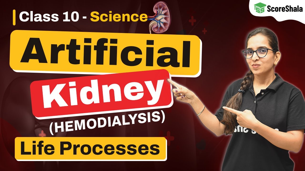 Class 10 Science | Biology | Chapter - 6 | Life Processes - Artificial ...