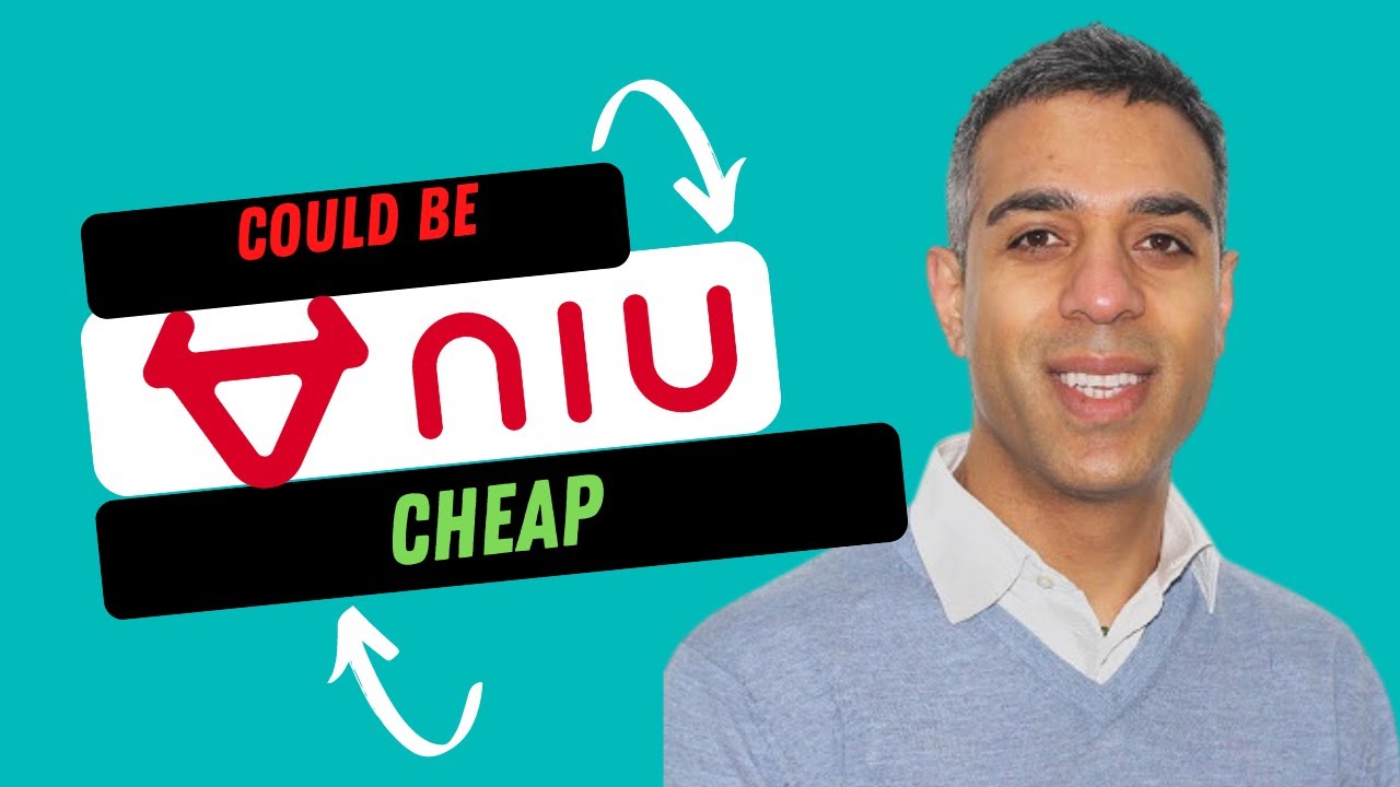 Niu Technologies financial analysis: maybe CHEAP - YouTube