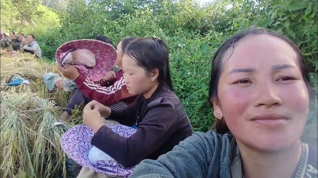 hnub no kuv tu me tu wb mu nrog niam pog lawv hlai nplej noom paj tsav kub heev. - YouTube