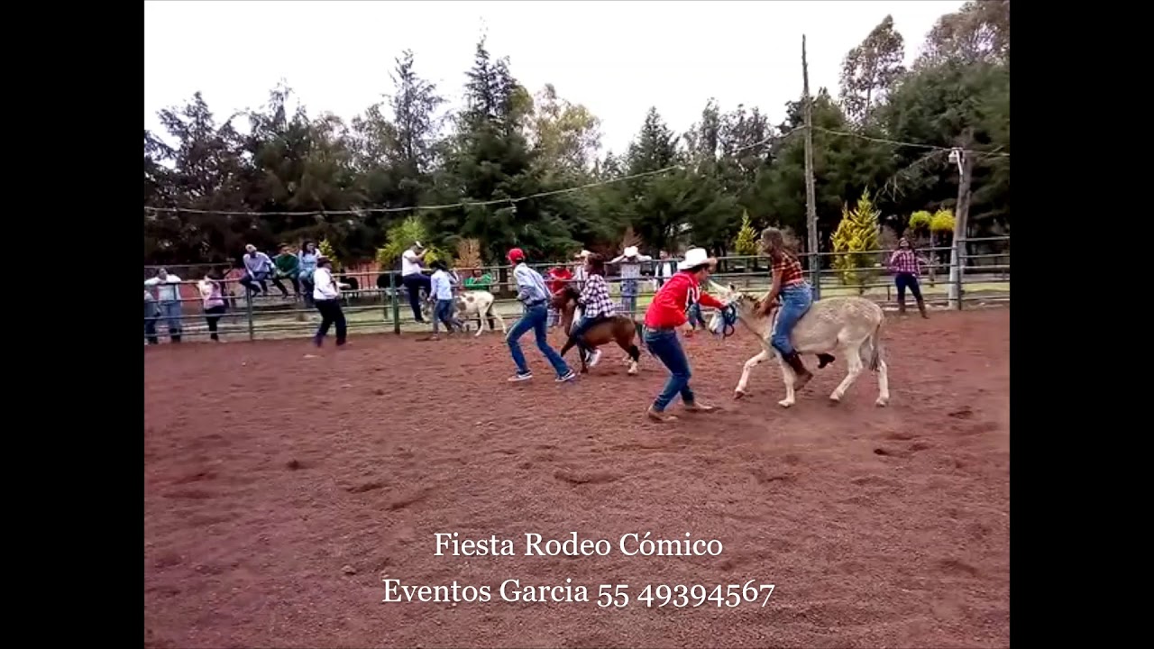 Fiesta Rodeo. Montas. Charlotada. Vacas bravas. TORO GOL. Payaso Rodeo ...