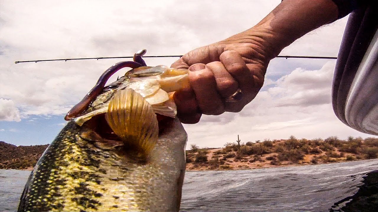 Guido Hibdon at Alamo Lake - YouTube