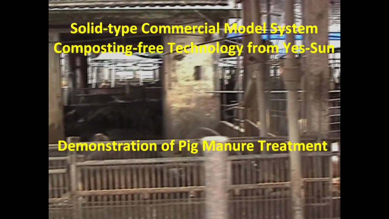Pig manure Treatment Demostration - YouTube