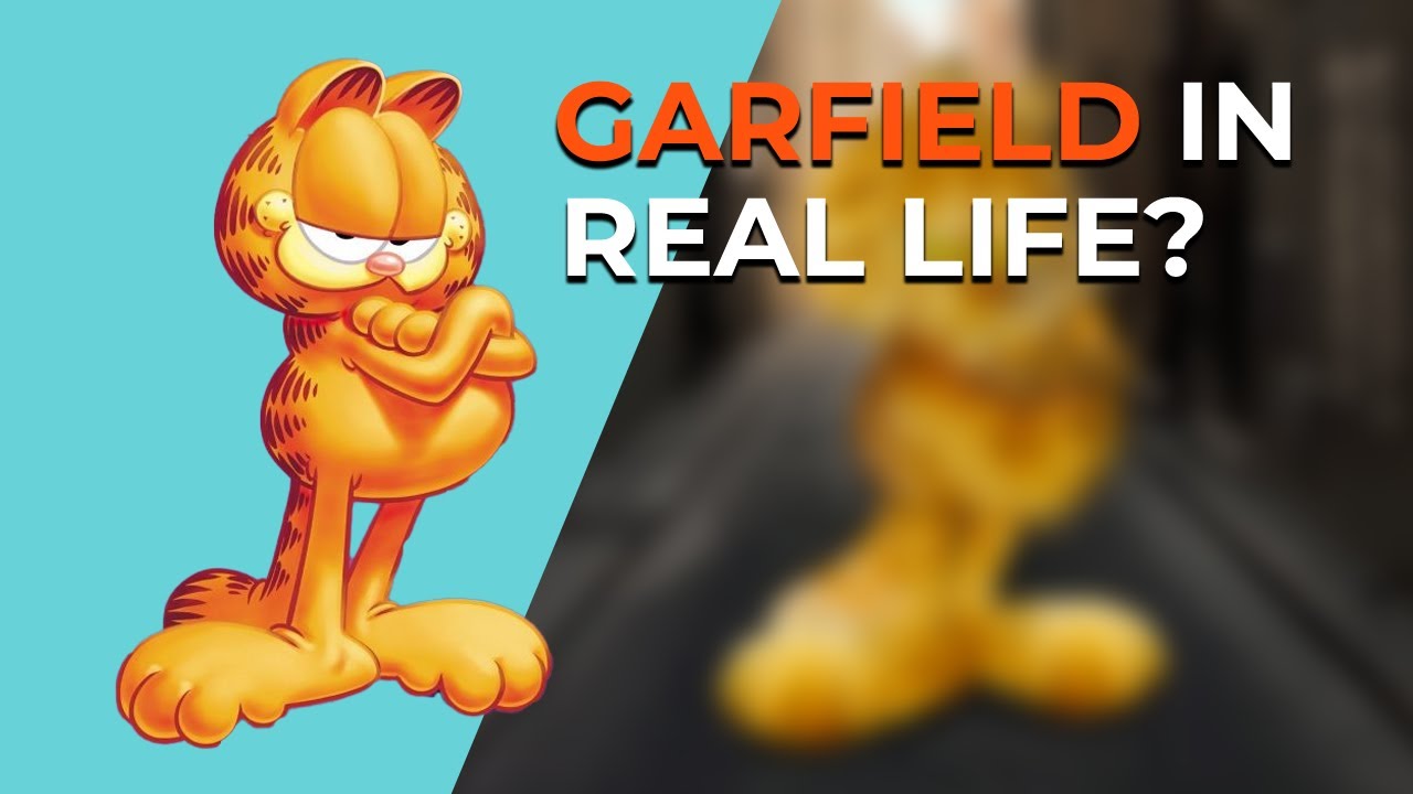 Real Life Garfield - Humanizing Cartoon Characters - YouTube