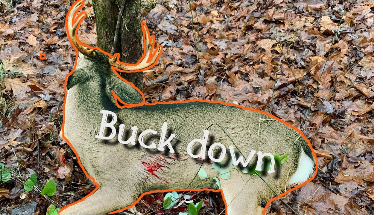 First deer of the year (12/23/19) - YouTube