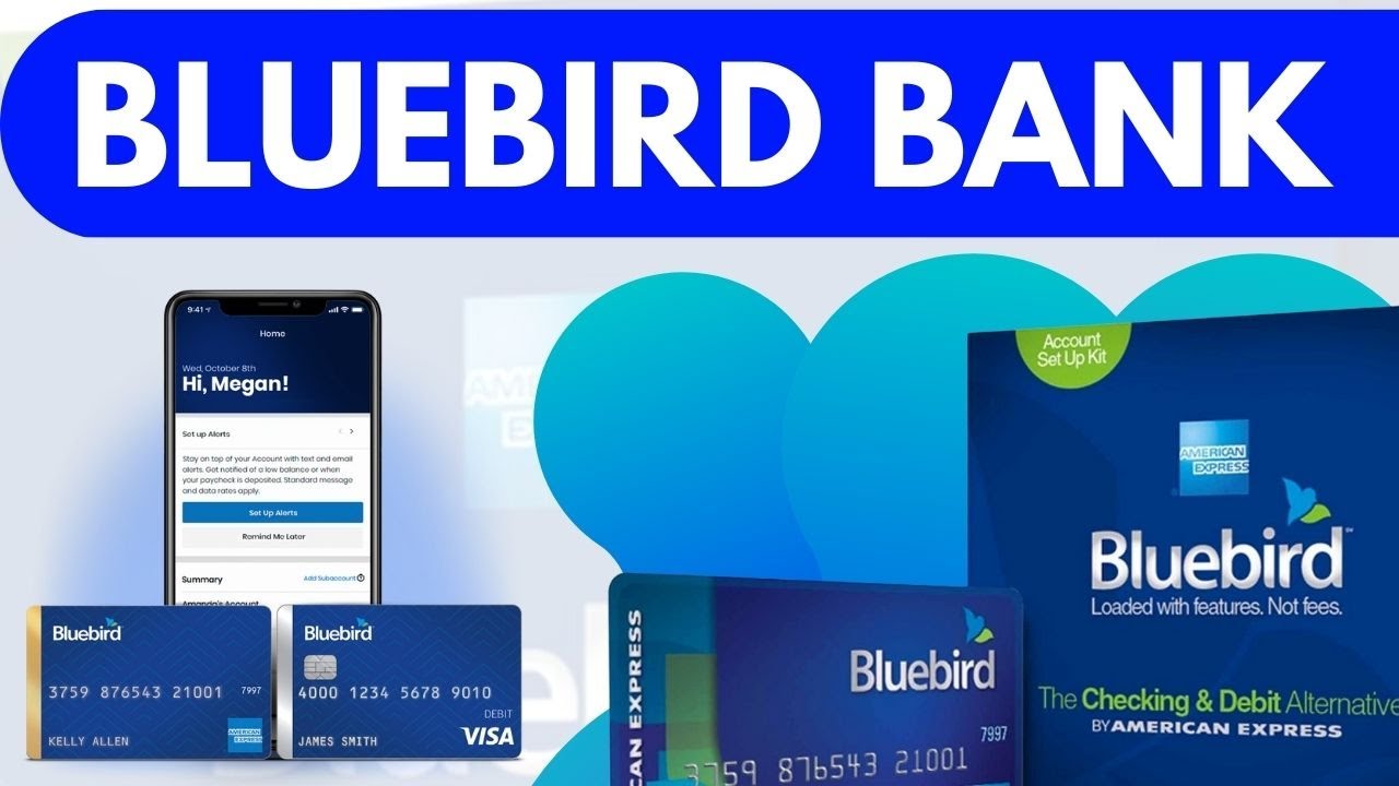 How To Create Bluebird Bank Website 2023 - Create Landing Page Design ...